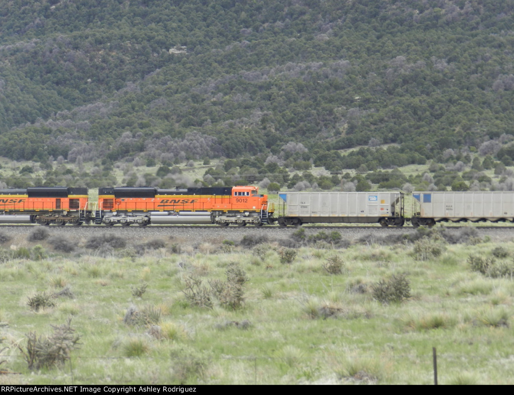 BNSF 9012